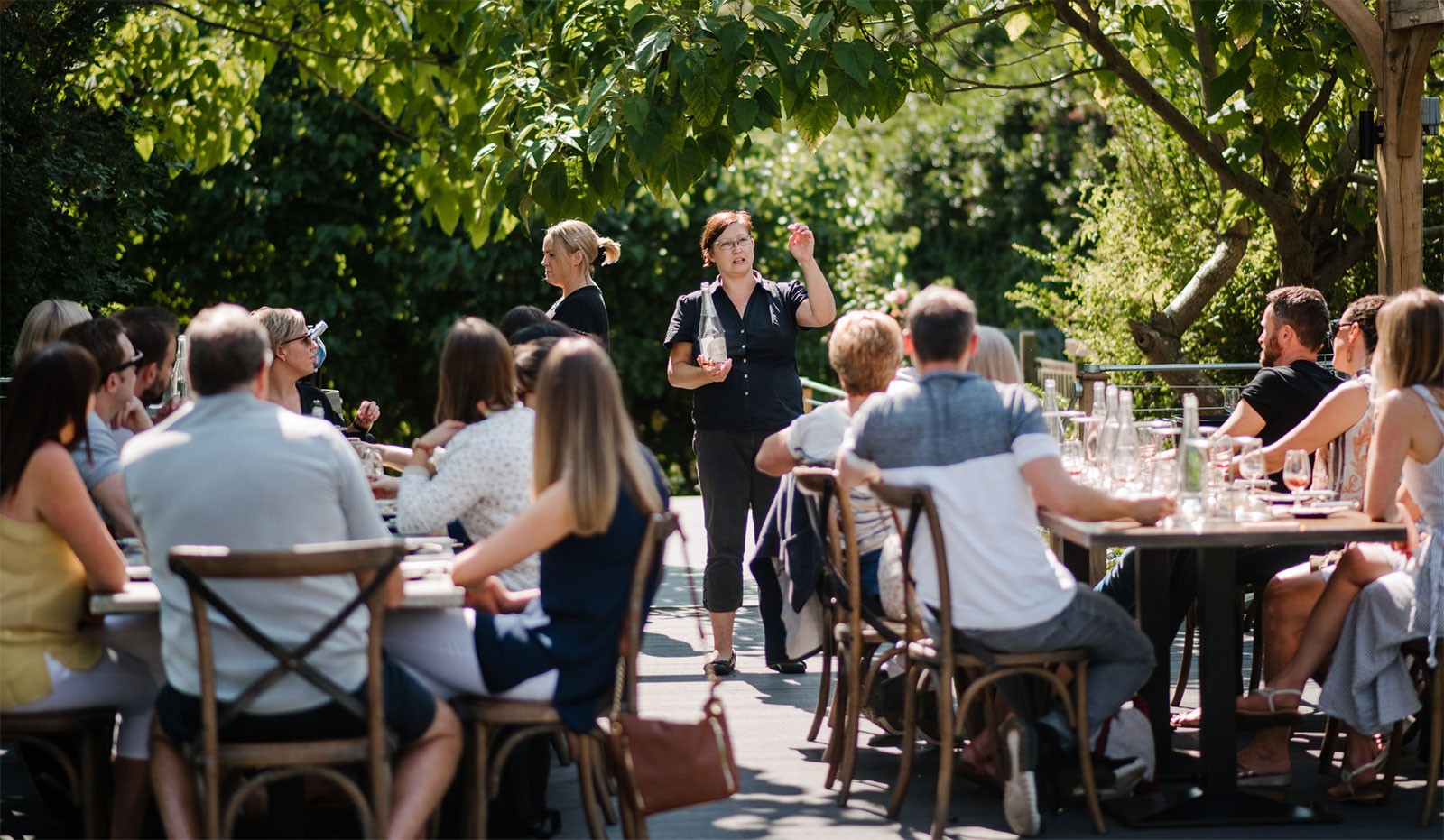 Summer Corporate Venue Hire - The Mount Vineyard : The Mount Vineyard