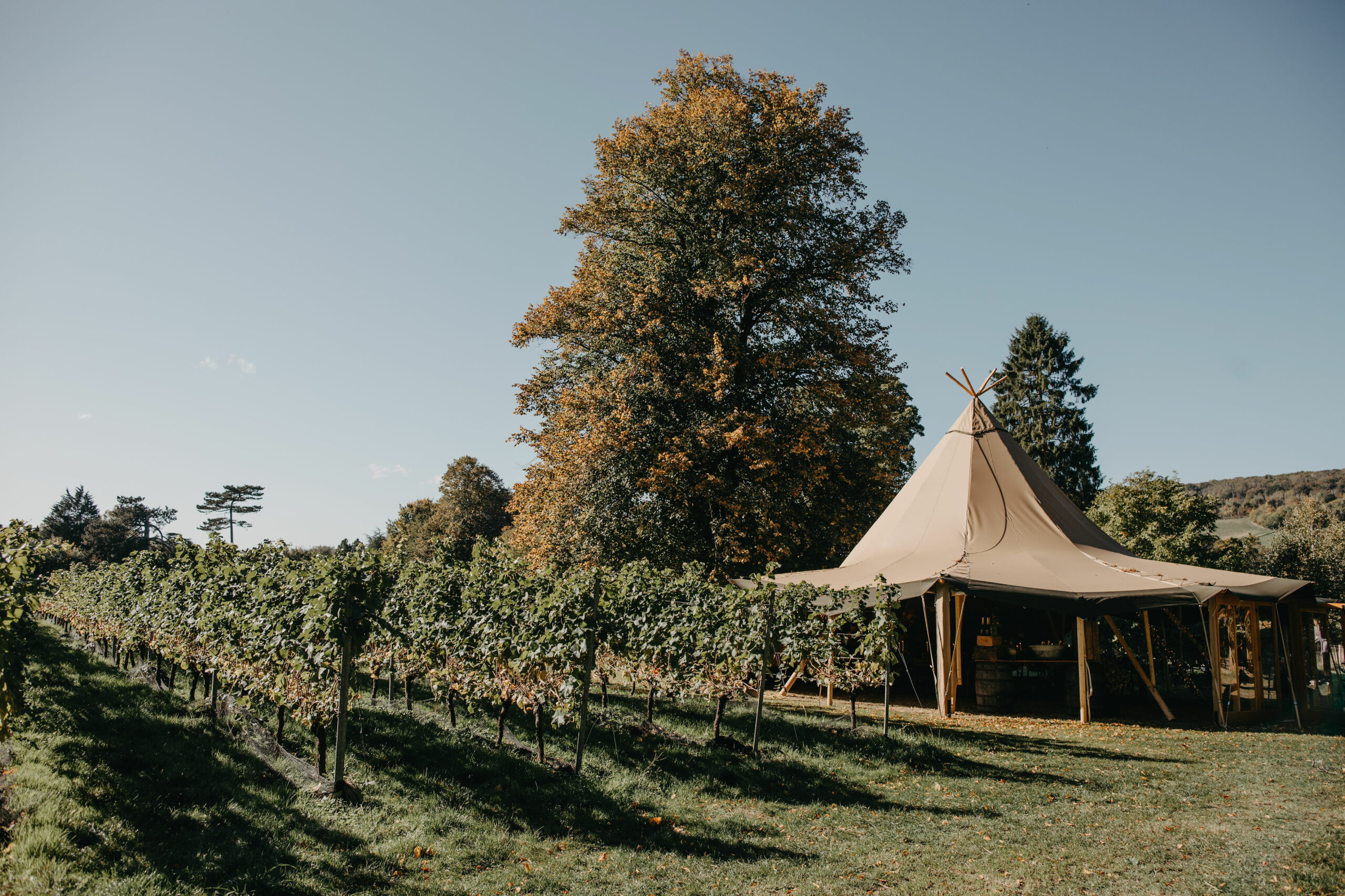 New for 2023, our brand new Nordic tipi! - The Mount Vineyard : The ...