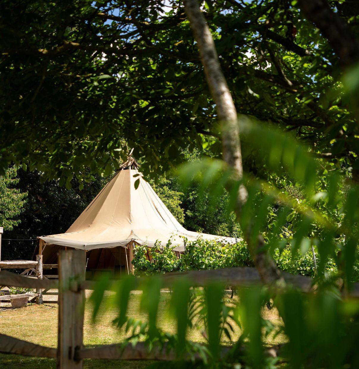 Pilates amongst the vines & lunch in our restaurant - The Mount ...
